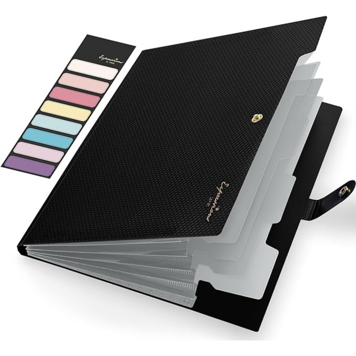 Expanding File Folder 5 Pocket — ACE EdVenture Market Store